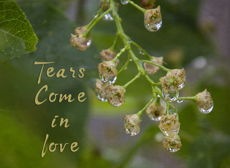 Expect Tears - Kathy Brasby